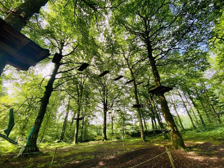 Activités sur le domaine