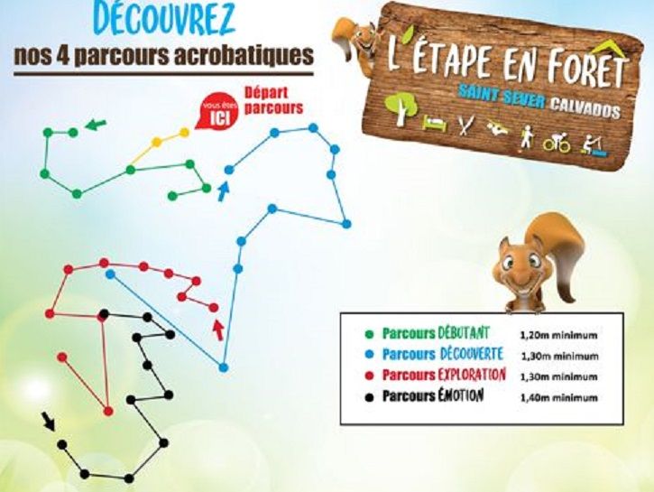 Activités sur le domaine
